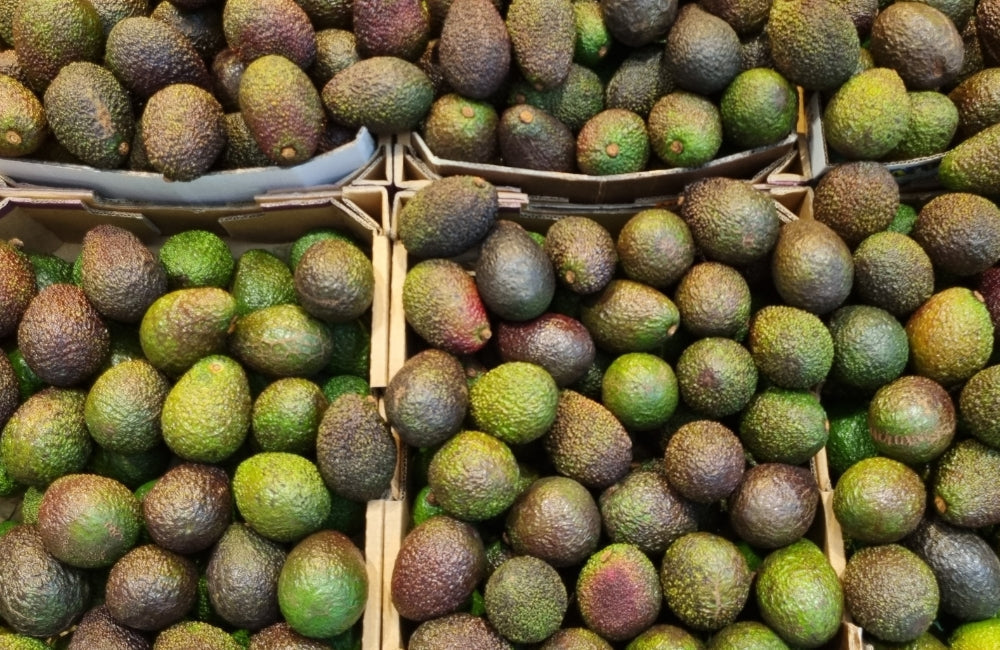 Rotten: The Avocado War produced By Netflix – plantbased.com